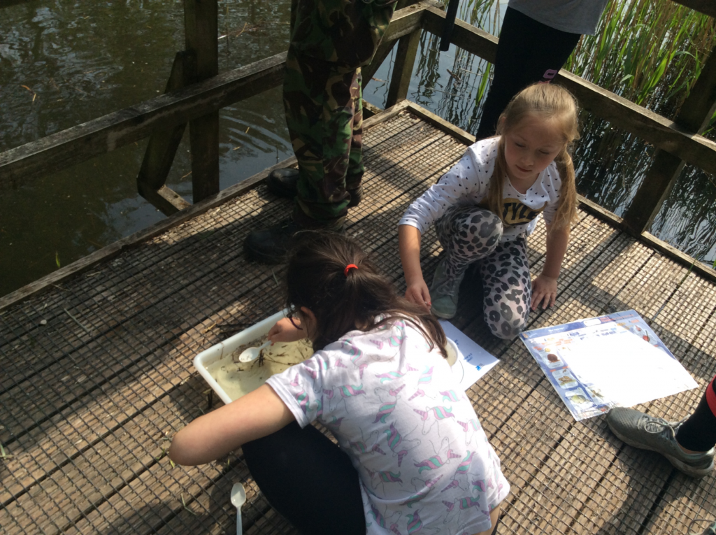 pond dipping | Willow Lane Primary School