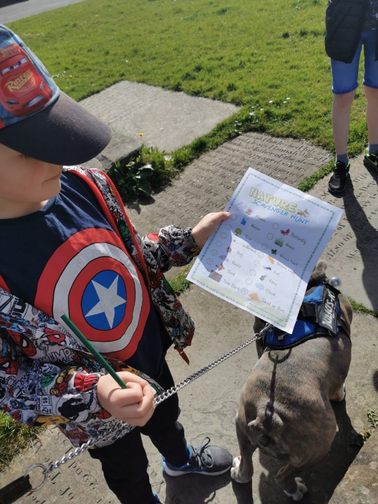 home learning (21) | Willow Lane Primary School